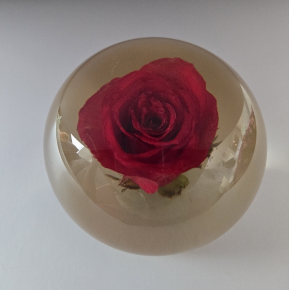 Tarax | Accents | Vintage Dried Flower Tarax Infinity Lucite Red Rose ...